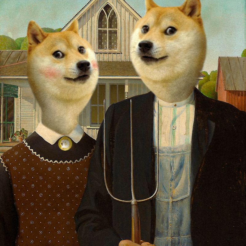 Doge family | NFT Collection | Airnfts