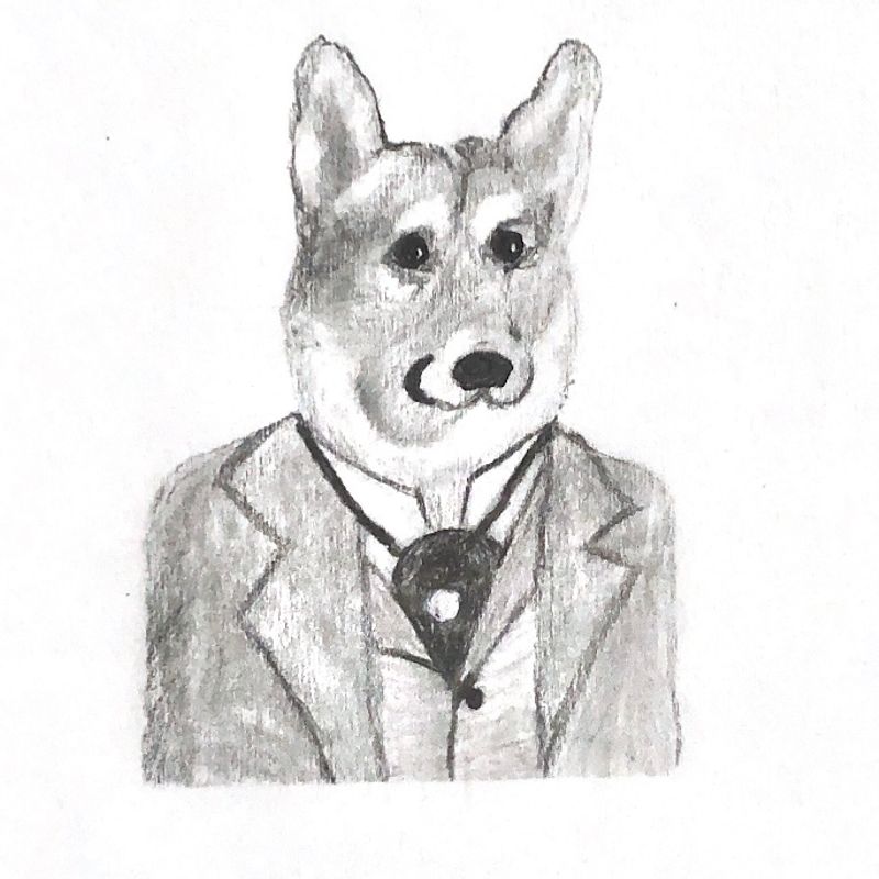 Mr doge | NFT Collection | Airnfts