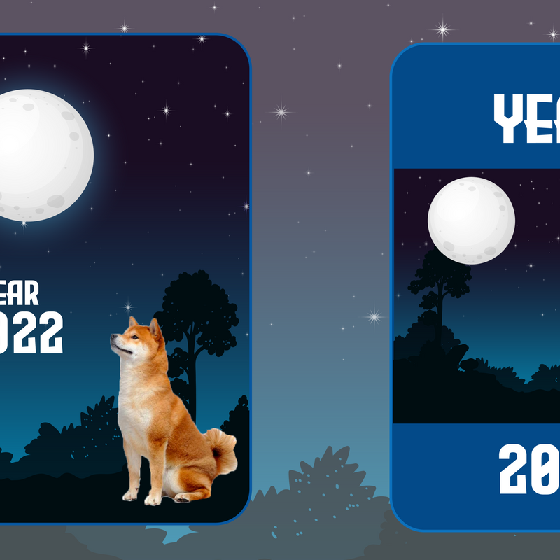 DOGE Card 2022 | NFT | Earn BNB, FTM, Polygon via NFTs | Airnfts