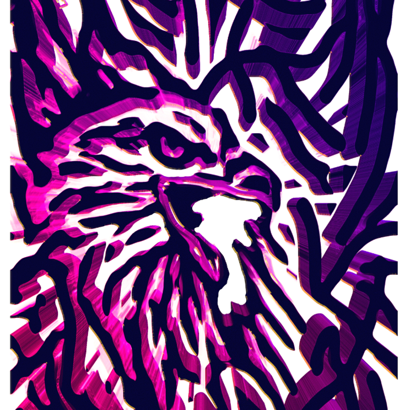 The Eagle | NFT Collection | Airnfts