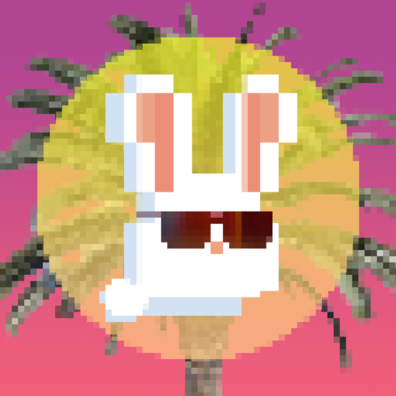 Wild Rabbit #29 | NFT Collection | Airnfts