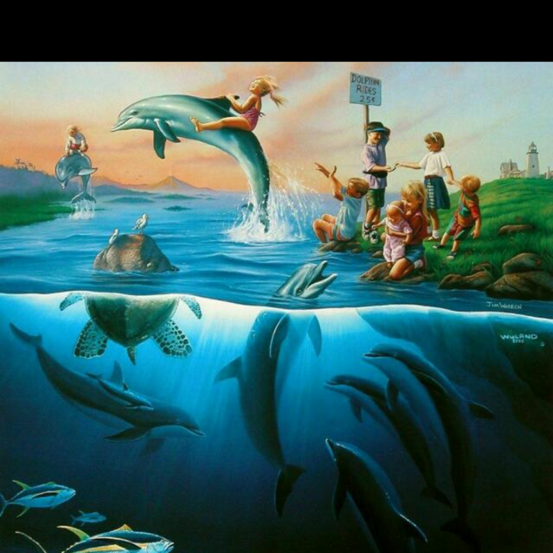 Dolphins island | NFT Collection | Airnfts