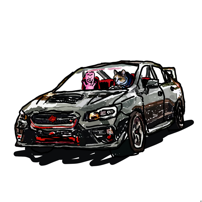 Racer_Cat | NFT Collection | Airnfts