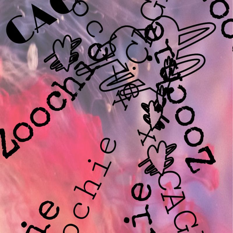 cage_x_zoochie | NFT Collection | Airnfts