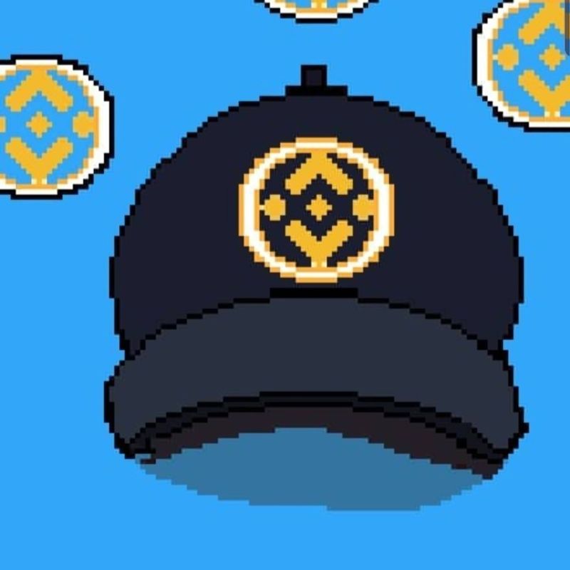 Punky Cap #24 | NFT Collection | Airnfts