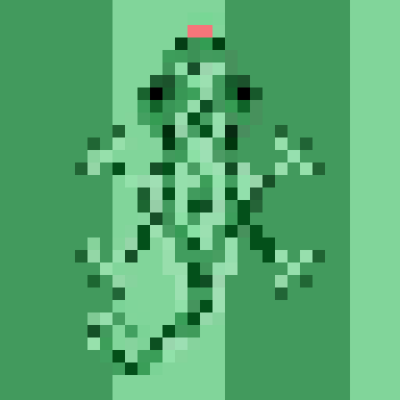 Gecko #009 | NFT Collection | Airnfts