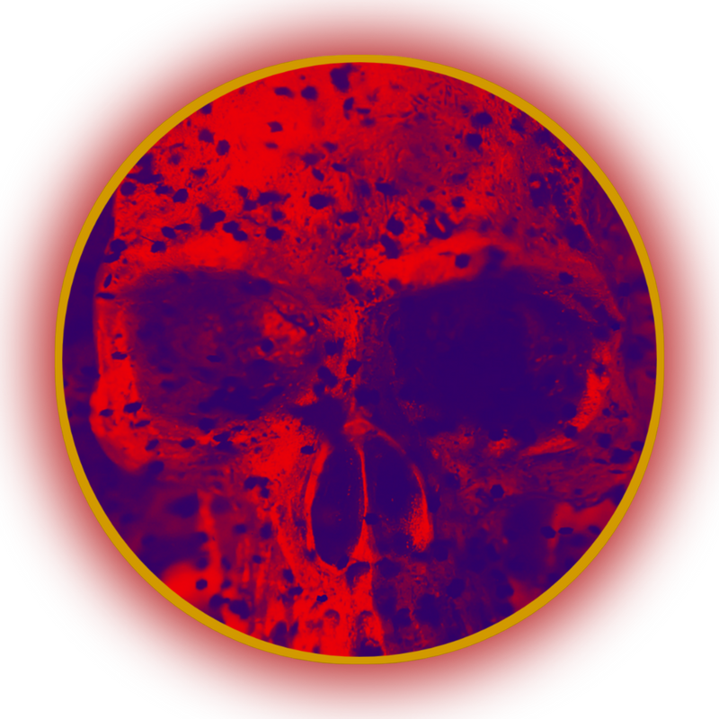 Riseofthefall | NFT | Earn BNB, FTM, Polygon via NFTs | Airnfts