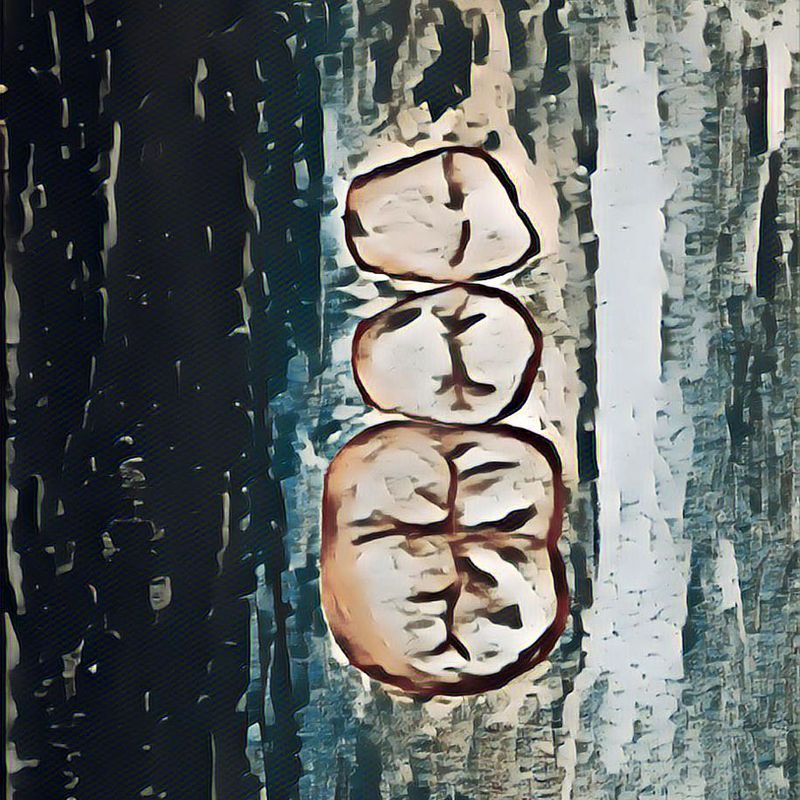 Teeth in time river | NFT Collection | Airnfts