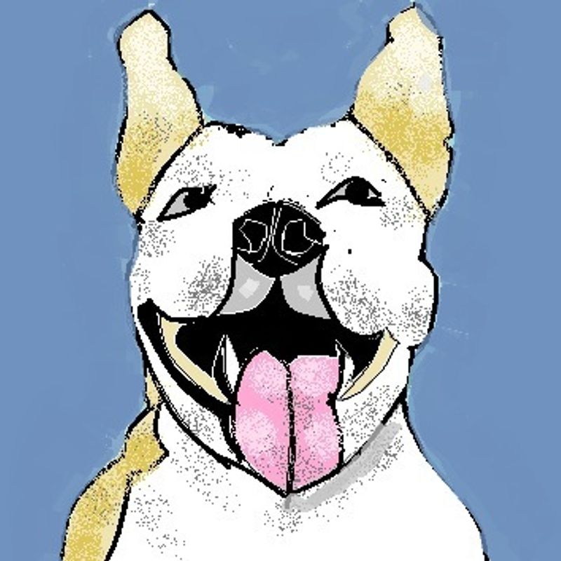 Smiley Dog | NFT | Earn BNB, FTM, Polygon via NFTs | Airnfts