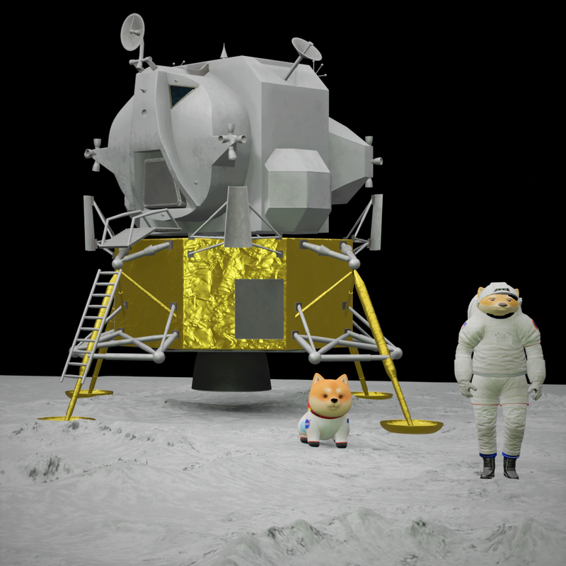 Shiba in Space | NFT Collection | Airnfts