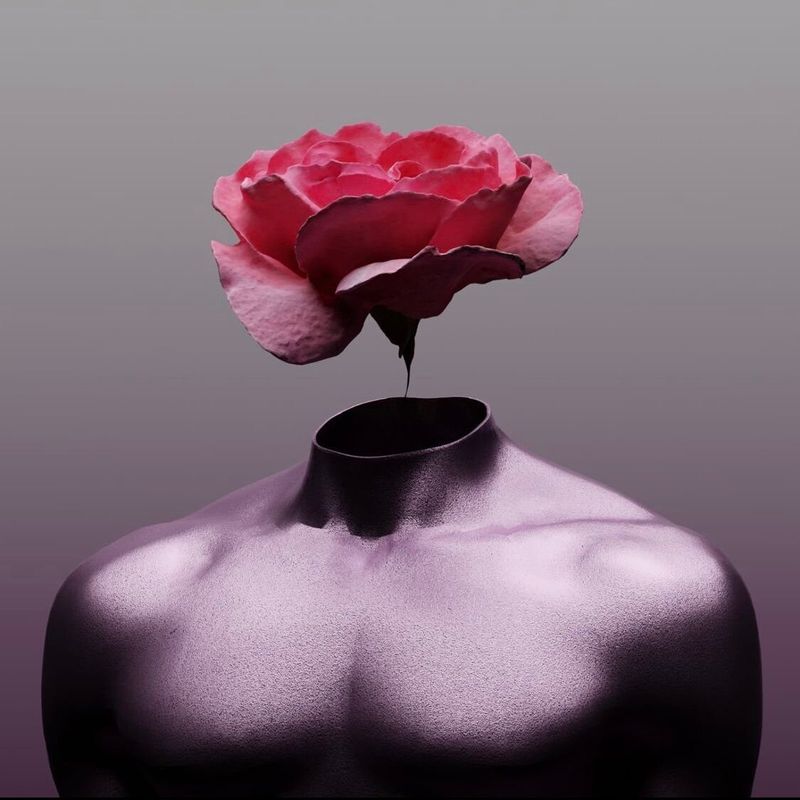 Pink rose | NFT Collection | Airnfts