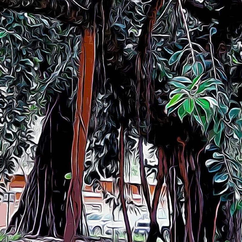 Nature | NFT Collection | Airnfts