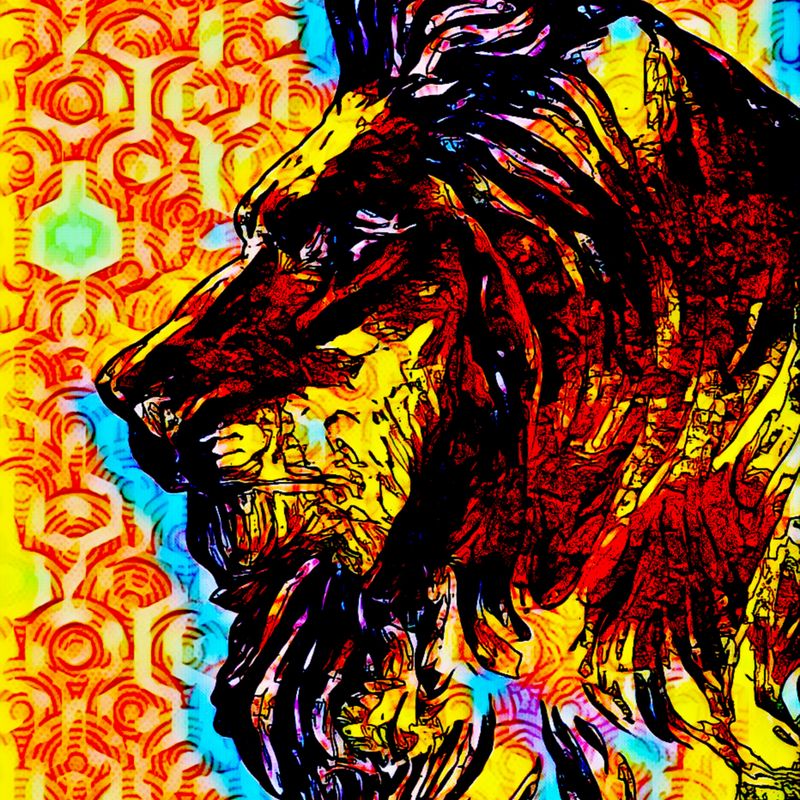 The King | NFT Collection | Airnfts