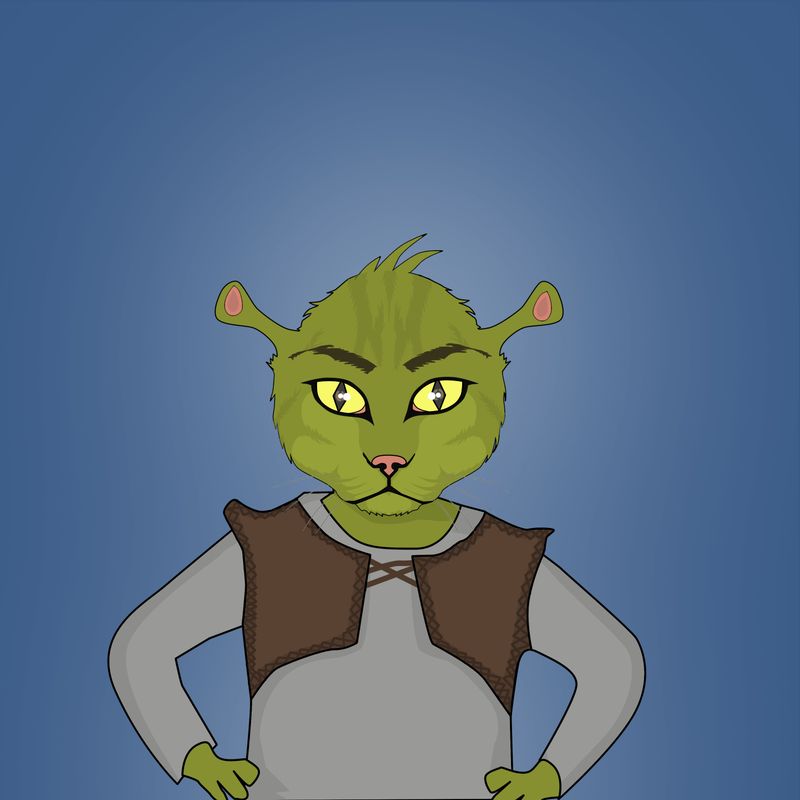 Rare Cats-Shrek | NFT Collection | Airnfts