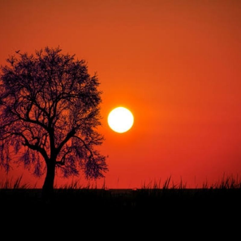 Nuture Sunset - #3 | NFT Collection | Airnfts