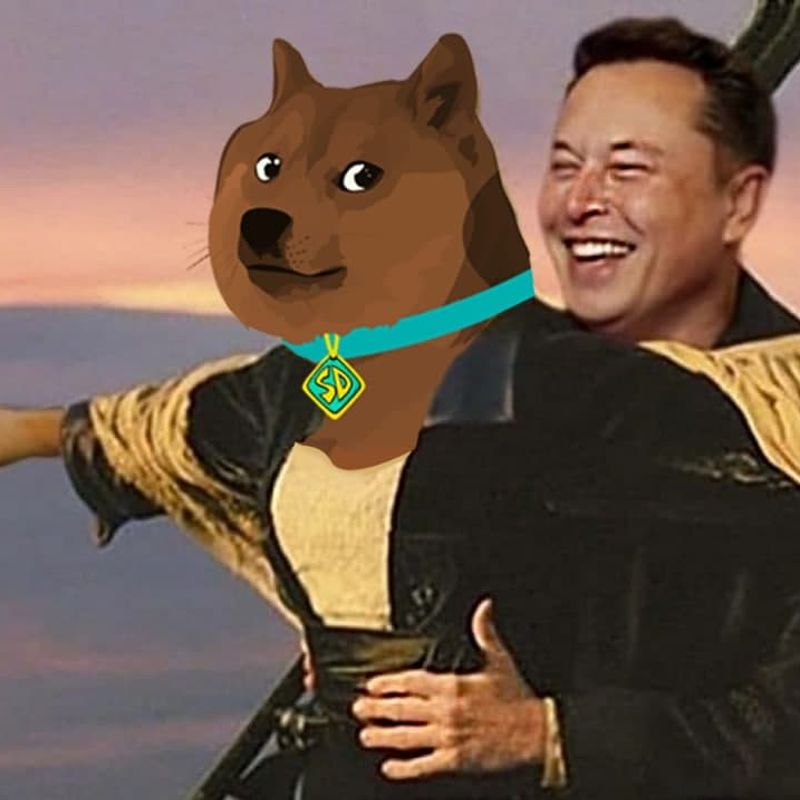 ScoobyDoge and Elon Musk | NFT Collection | Airnfts