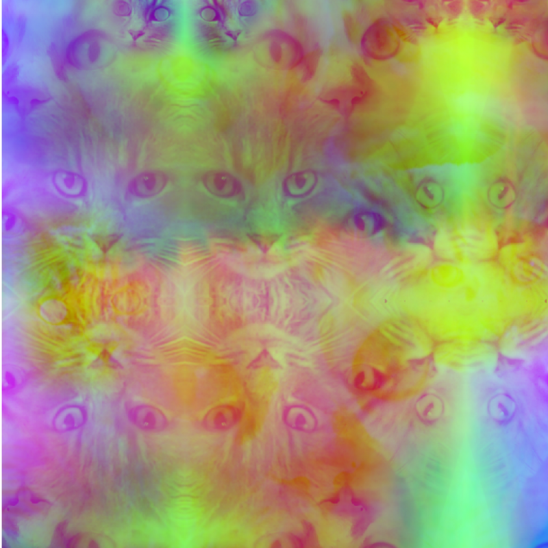 Feline psychedelic | NFT Collection | Airnfts
