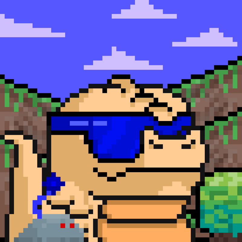 LizardsNFT #003 | NFT Collection | Airnfts