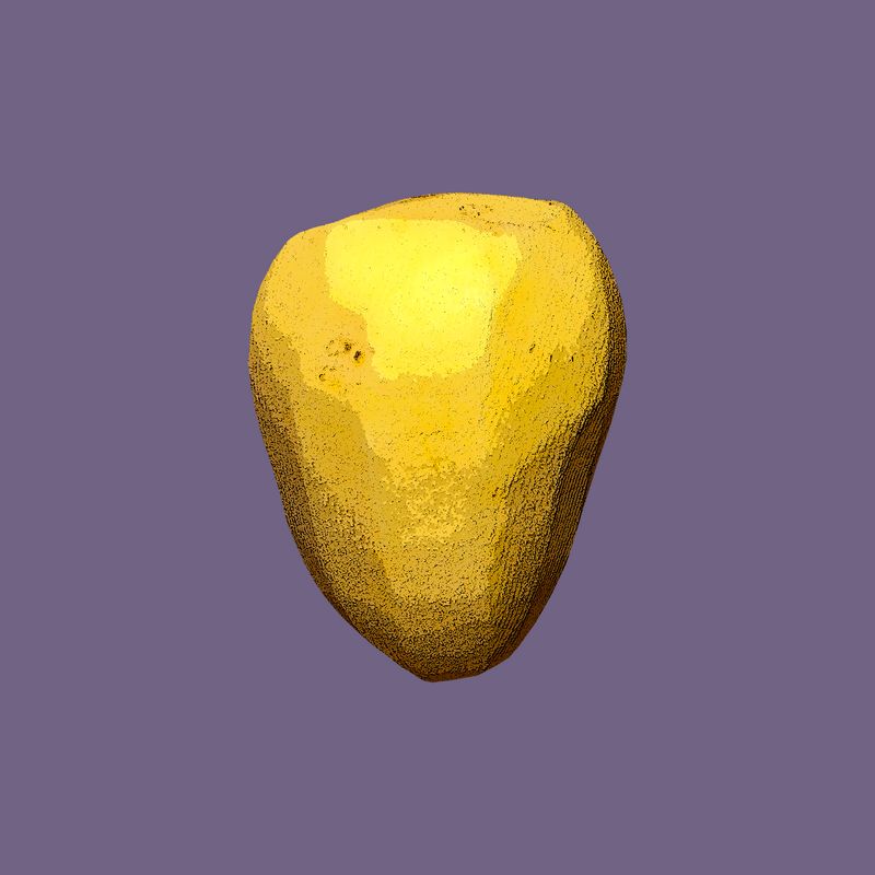 Potato 9 | NFT Collection | Airnfts