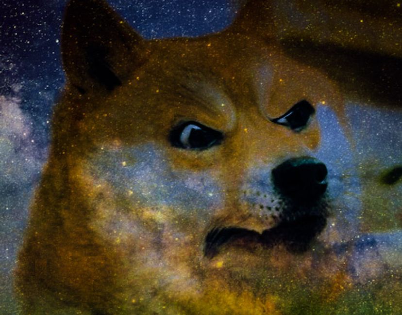 Angry doge - Best NFT Market | NFT Marketplace on BSC | AirNFTs