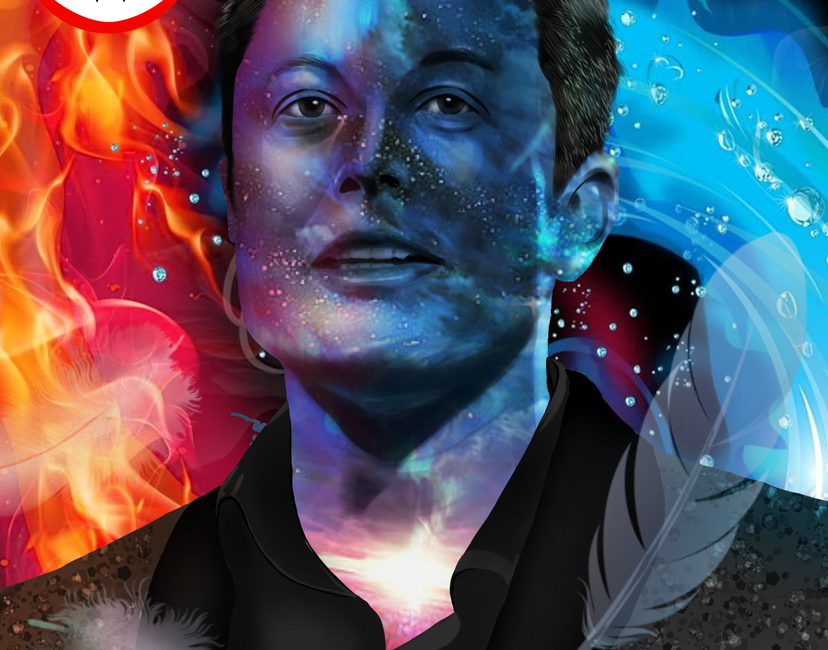 Mr. Elon Musk | NFT Collection | Airnfts