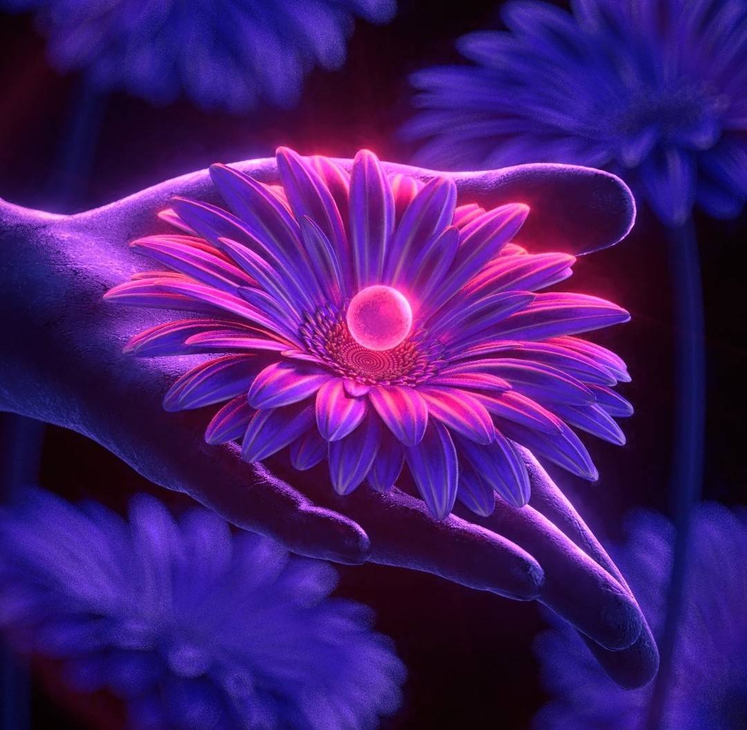 Nft_Princess | NFT Collection | Airnfts